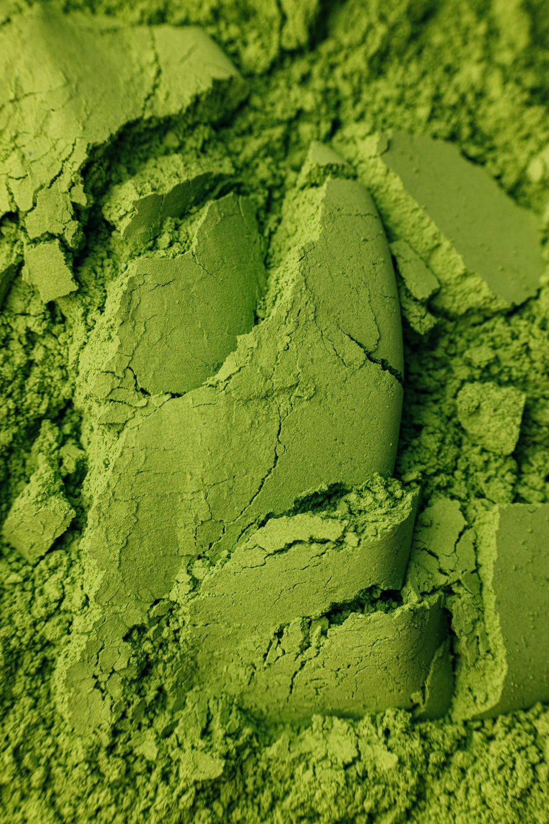 Bio-Matcha-Tee & Matcha-Pulver kaufen – HEALTH BAR GmbH