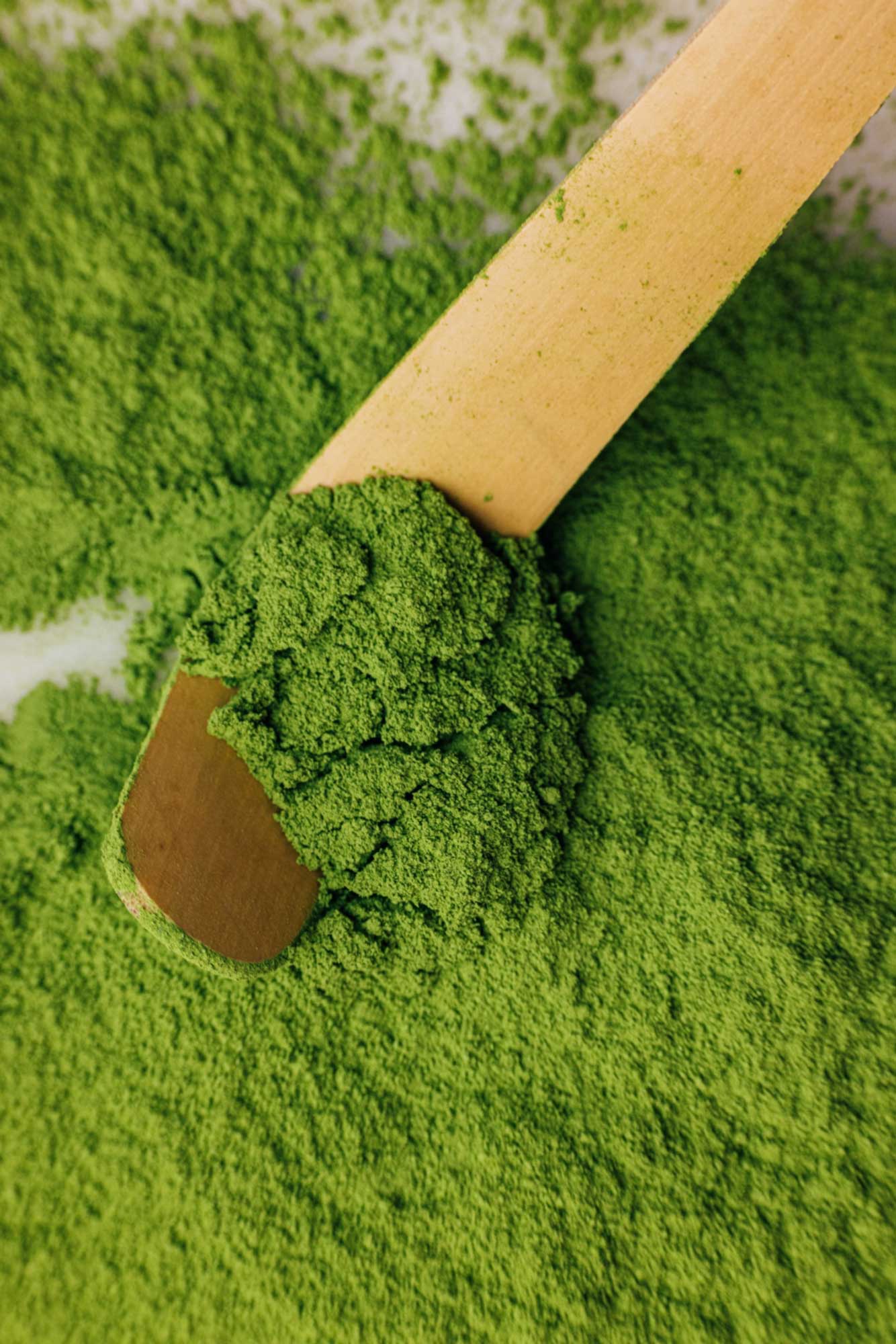 Buy Bio Matcha Tea & Matcha Powder – HEALTH BAR GmbH